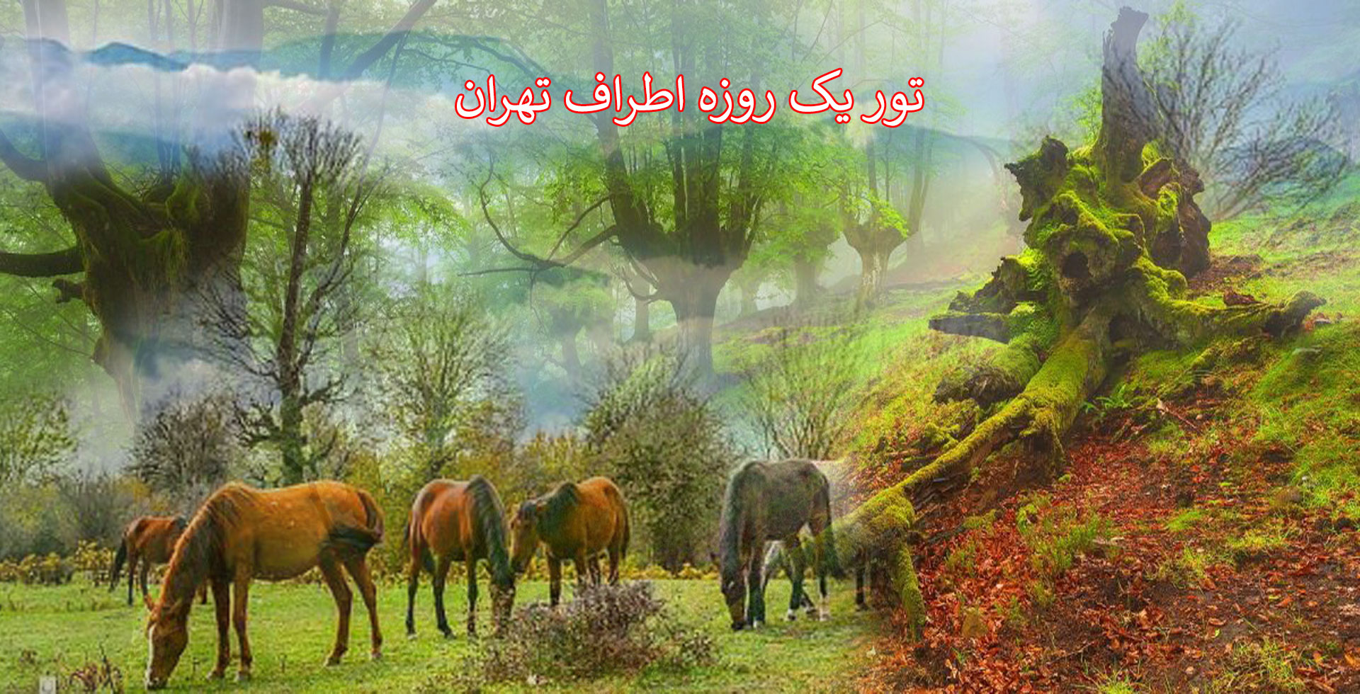 تور یک روزه اطراف تهران - اصناف شهر